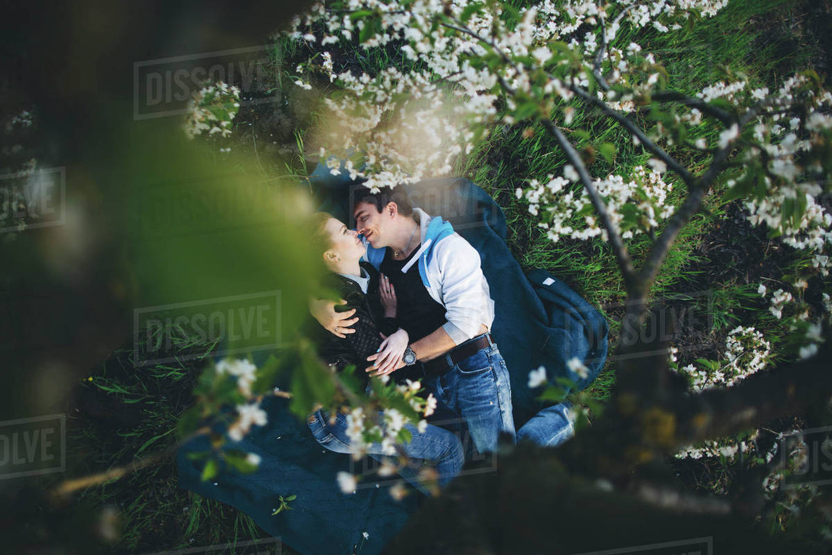 Couple laying in grass under flowering trees - Royalty-free Stock Photo ...