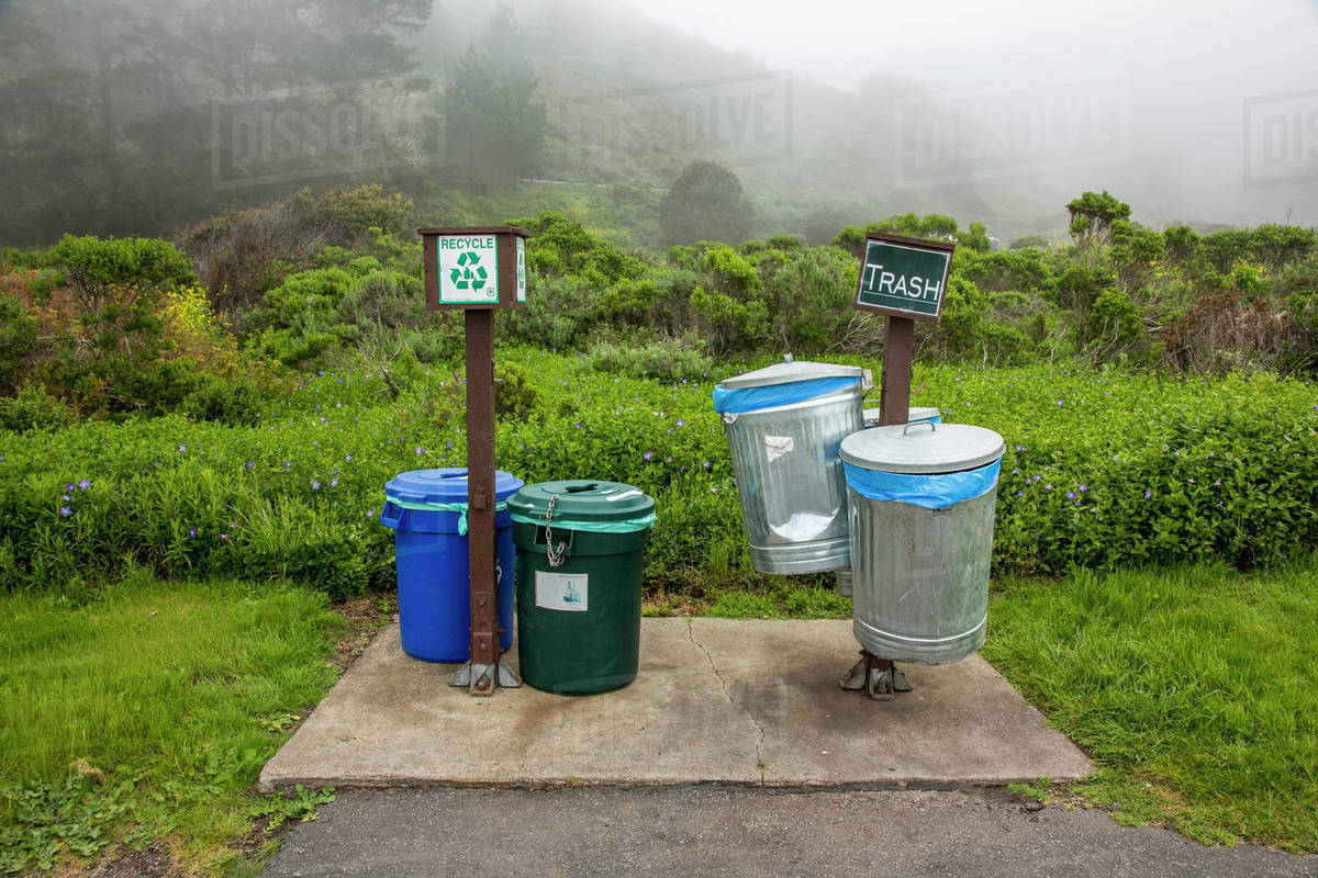 Trash and recycling bins in park - Royalty-free Stock Photo | Dissolve