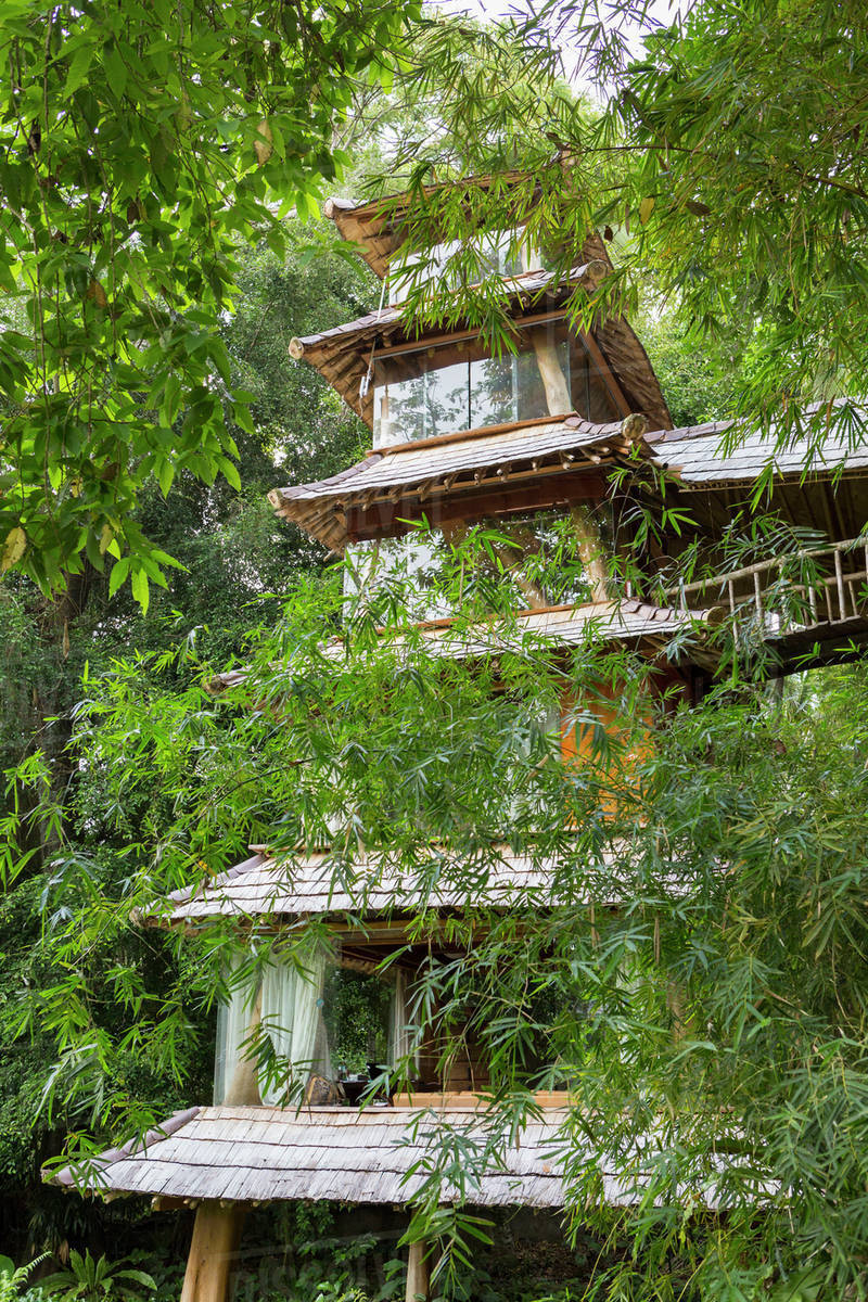 Bamboo trees around Balinese pagoda, Ubud, Bali, Indonesia - Royalty ...