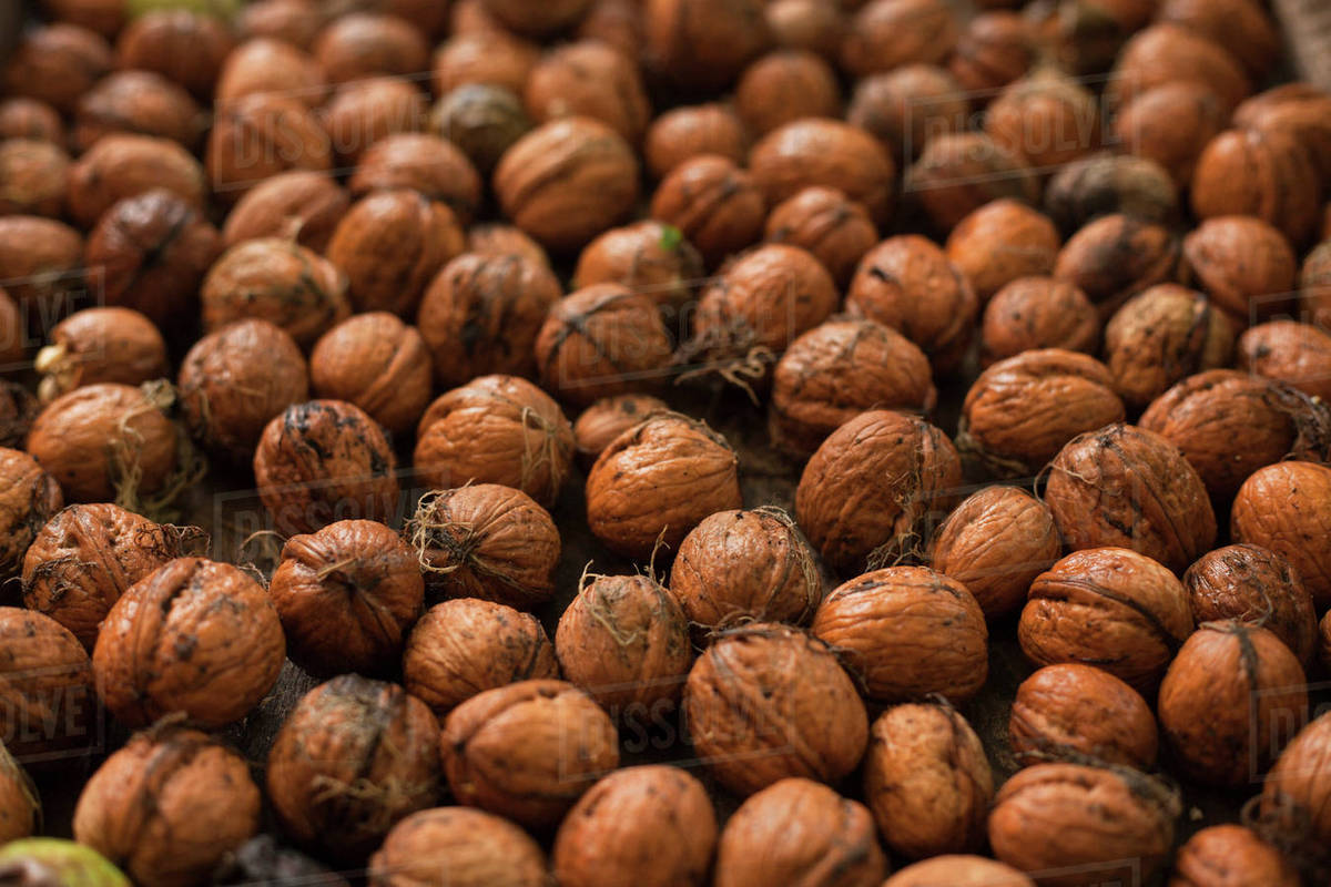 Walnuts - Stock Photo - Dissolve