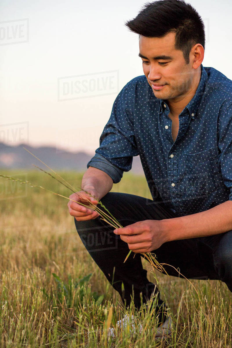 Smiling Chinese man crouching and holding grass in field - Royalty-free ...