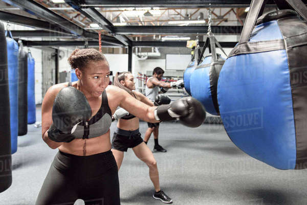 Boxers punching bags in gymnasium - Stock Photo - Dissolve