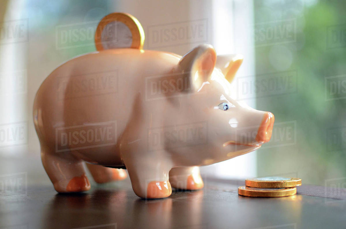 Coin in slot of piggy bank - Stock Photo - Dissolve
