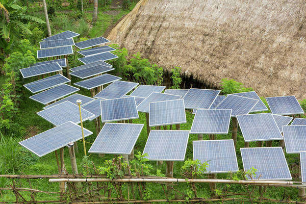 Solar panels in tropical garden - Royalty-free Stock Photo | Dissolve