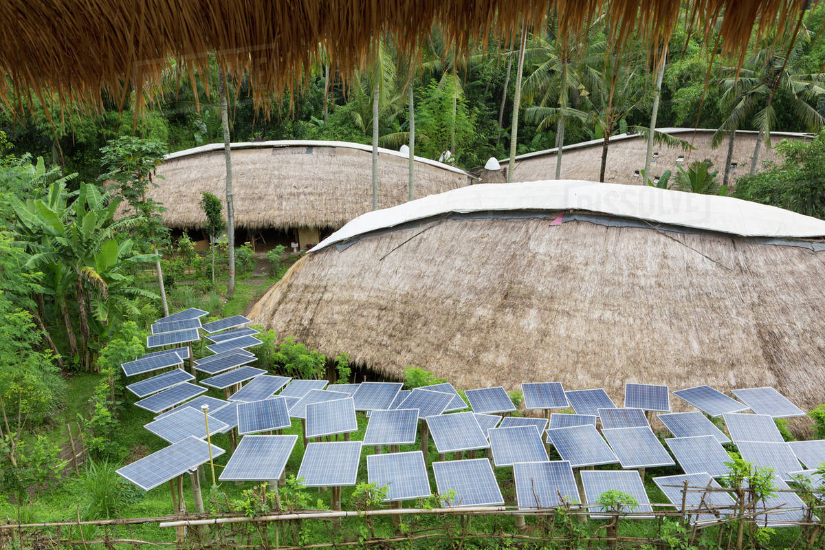 Solar panels in tropical garden - Royalty-free Stock Photo | Dissolve