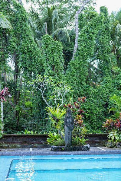 Plants and statue by swimming pool, Ubud, Bali, Indonesia - Stock Photo ...