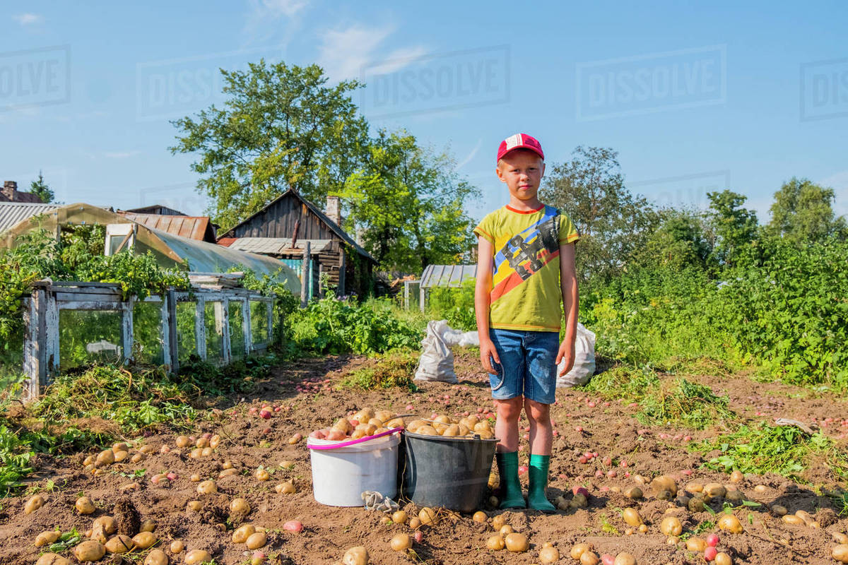 Caucasian boy standing on farm with buckets of potatoes - Stock Photo ...