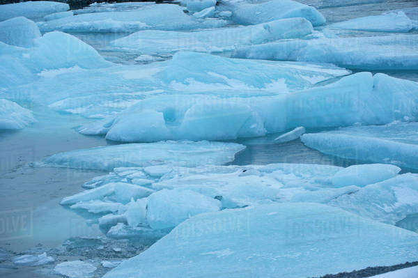 Glaciers floating in arctic water - Stock Photo - Dissolve