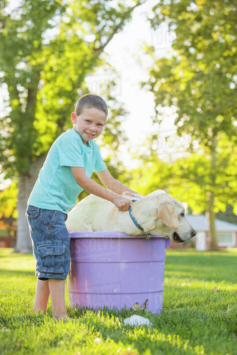 Caucasian boy washing pet dog in backyard - Royalty-free Stock Photo ...