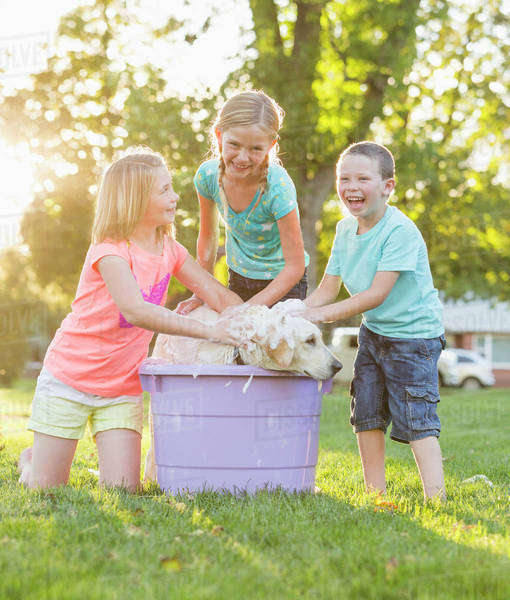 Caucasian children washing pet dog in backyard - Royalty-free Stock ...