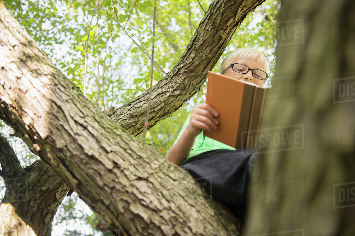Low angle view of Caucasian boy reading in tree - Royalty-free Stock ...