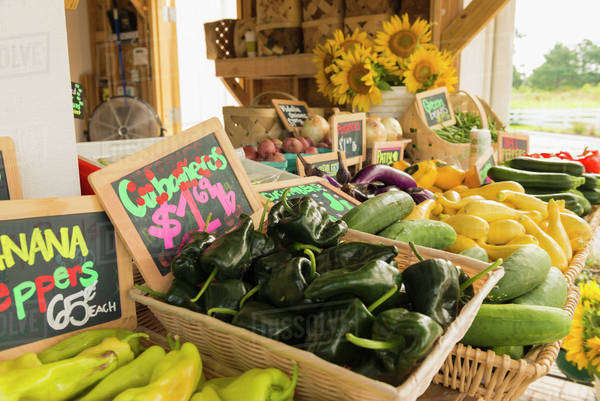 Baskets of produce at farmers market - Stock Photo - Dissolve