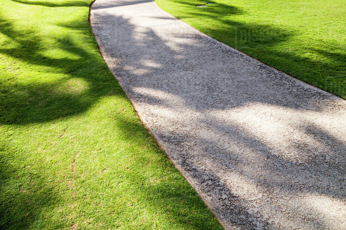 High angle view of palm tree shadows on concrete path - Royalty-free ...