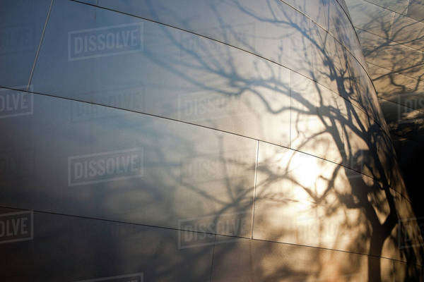 Tree Branch Shadows Cast on a Modern Building - Royalty-free Stock ...