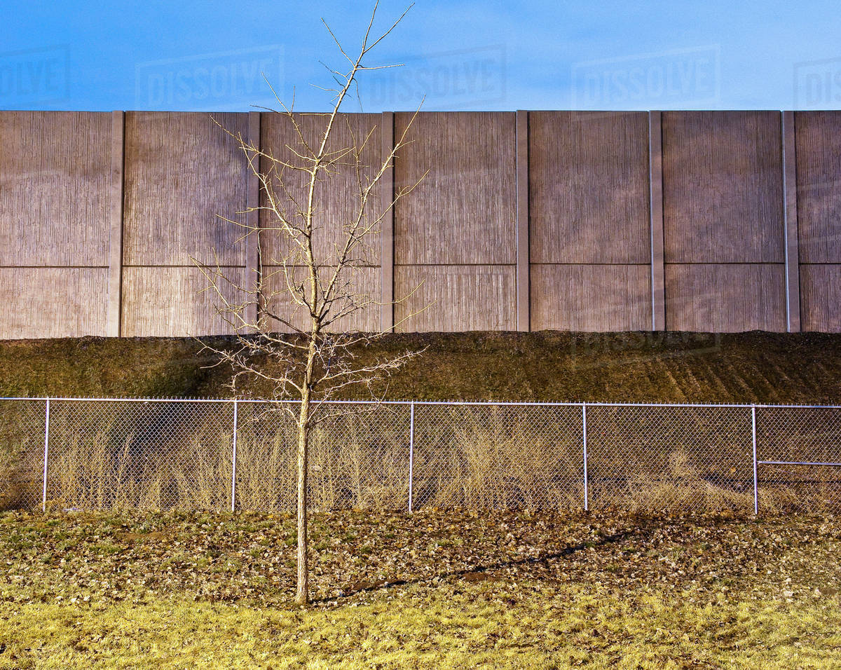 Bare Tree in Front of a Barrier - Royalty-free Stock Photo | Dissolve