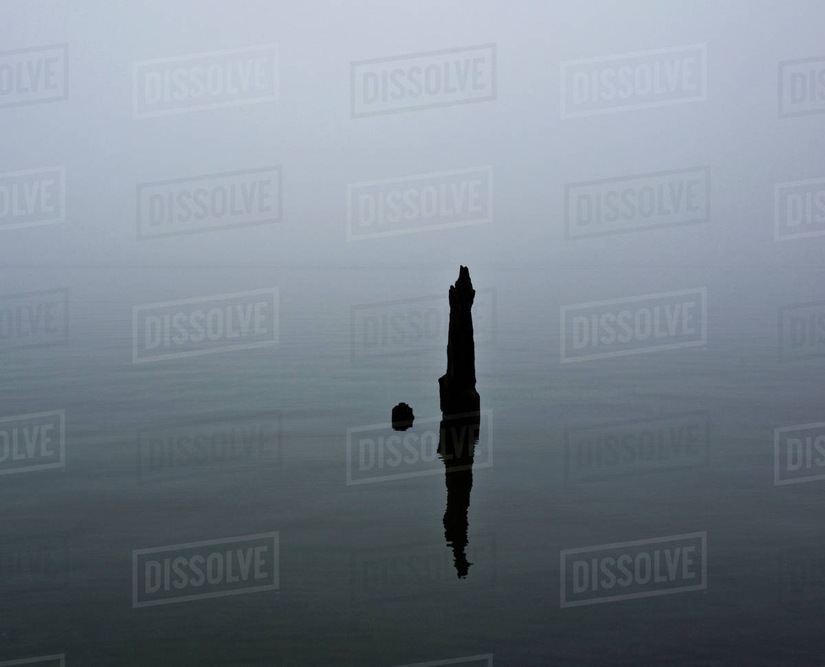 Piling in Water - Stock Photo - Dissolve