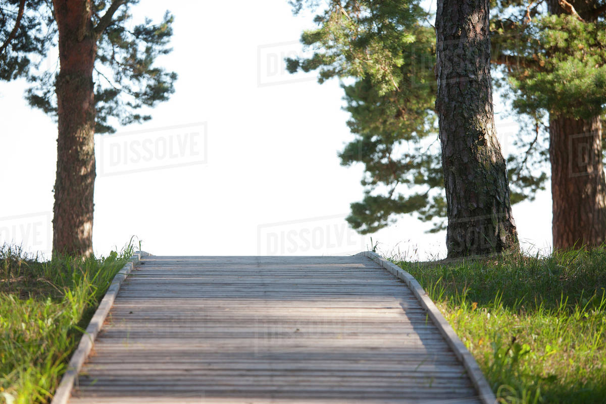 Wooden Footpath Through a Park - Royalty-free Stock Photo | Dissolve