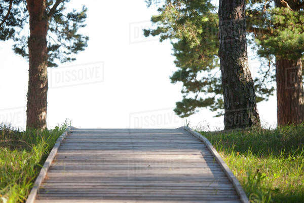 Wooden Footpath Through a Park - Royalty-free Stock Photo | Dissolve