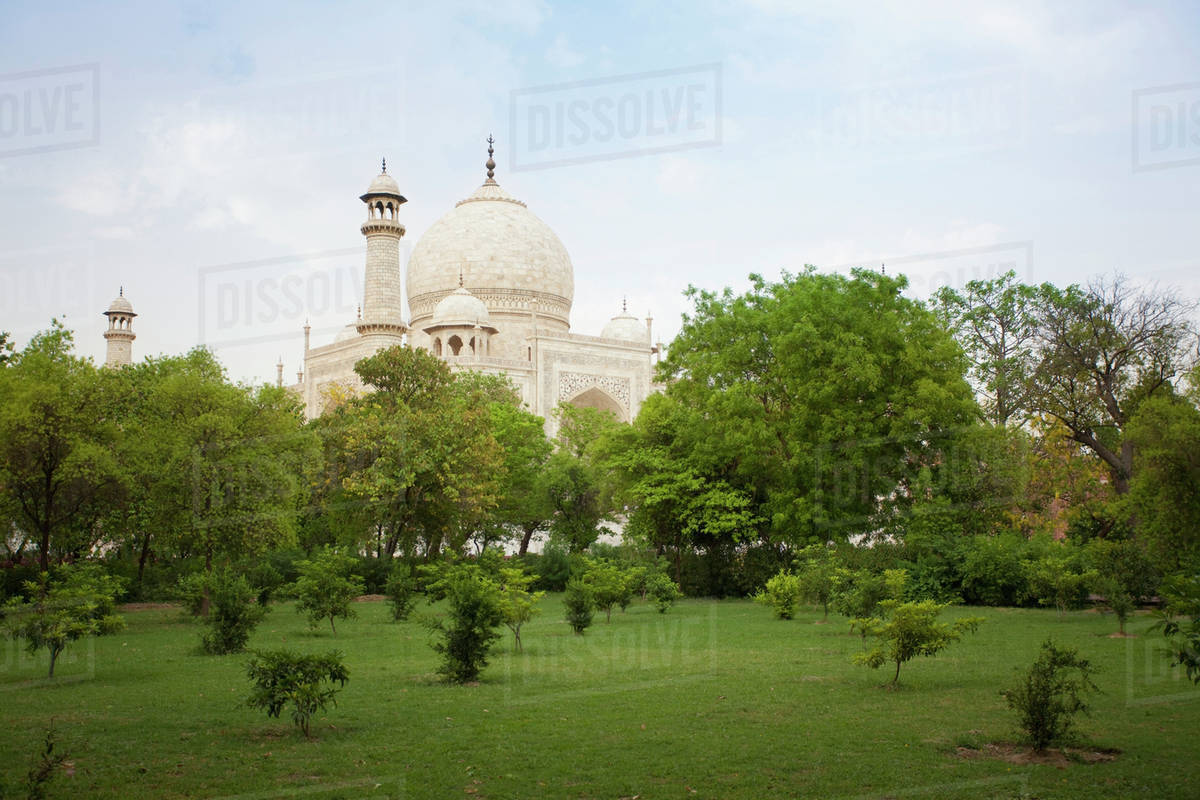 Taj Mahal behind trees in park, Agra, Uttar Pradesh, India - Royalty ...