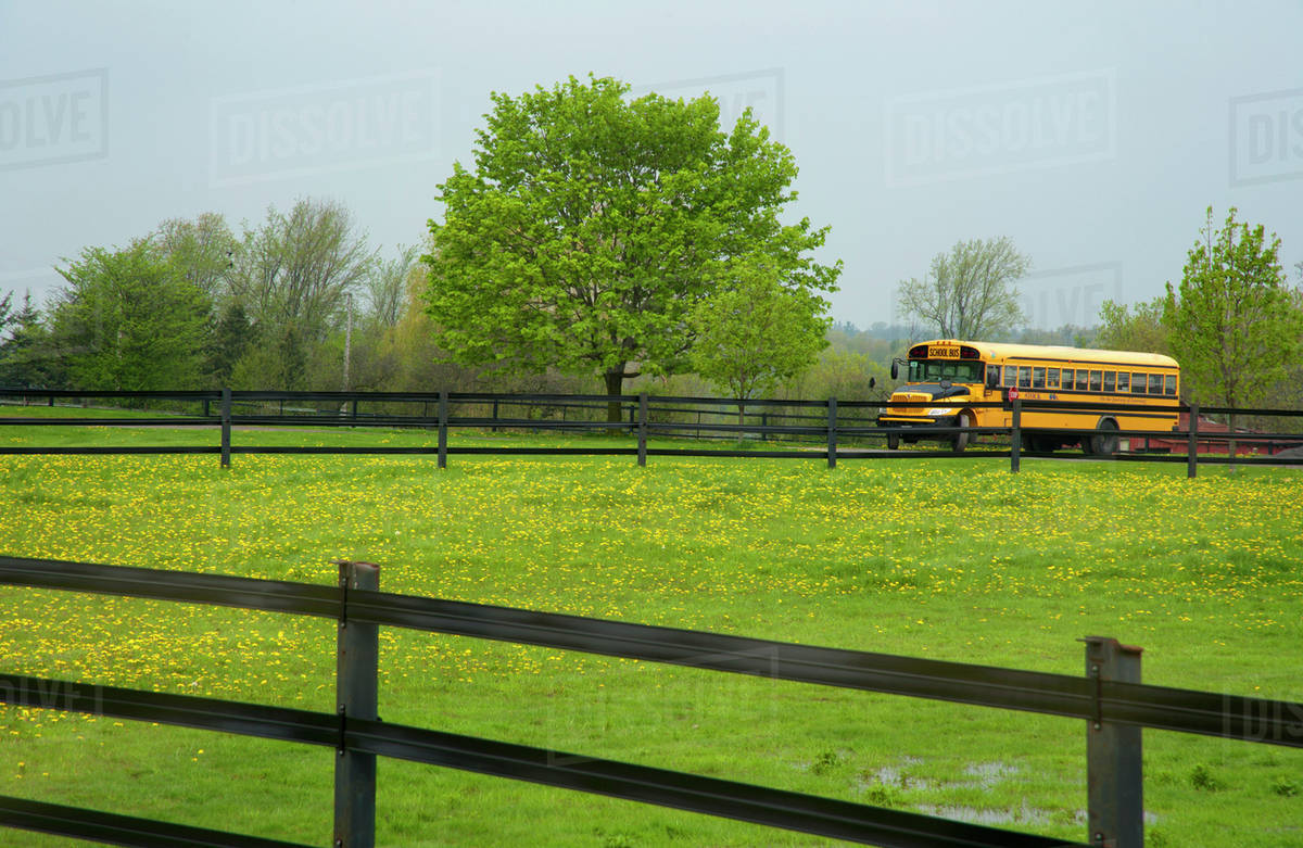 Yellow school bus on rural road - Stock Photo - Dissolve