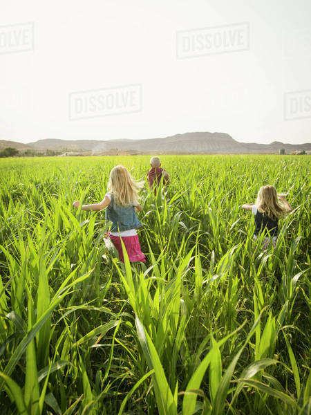Children playing in corn field - Royalty-free Stock Photo | Dissolve