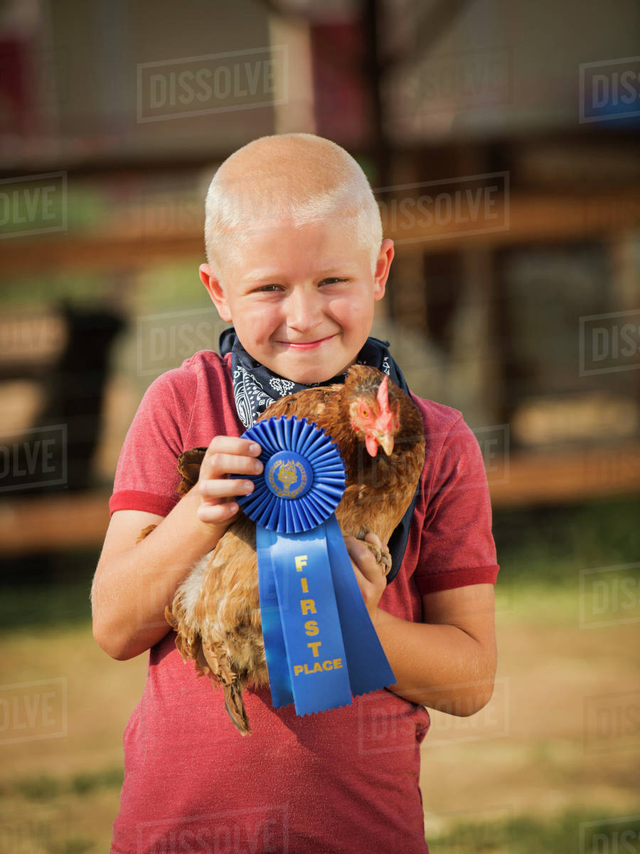 Caucasian boy with prize winning chicken on farm - Royalty-free Stock ...