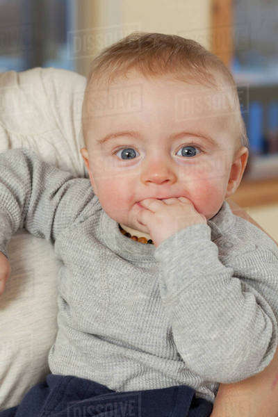 Caucasian baby chewing fingers - Stock Photo - Dissolve