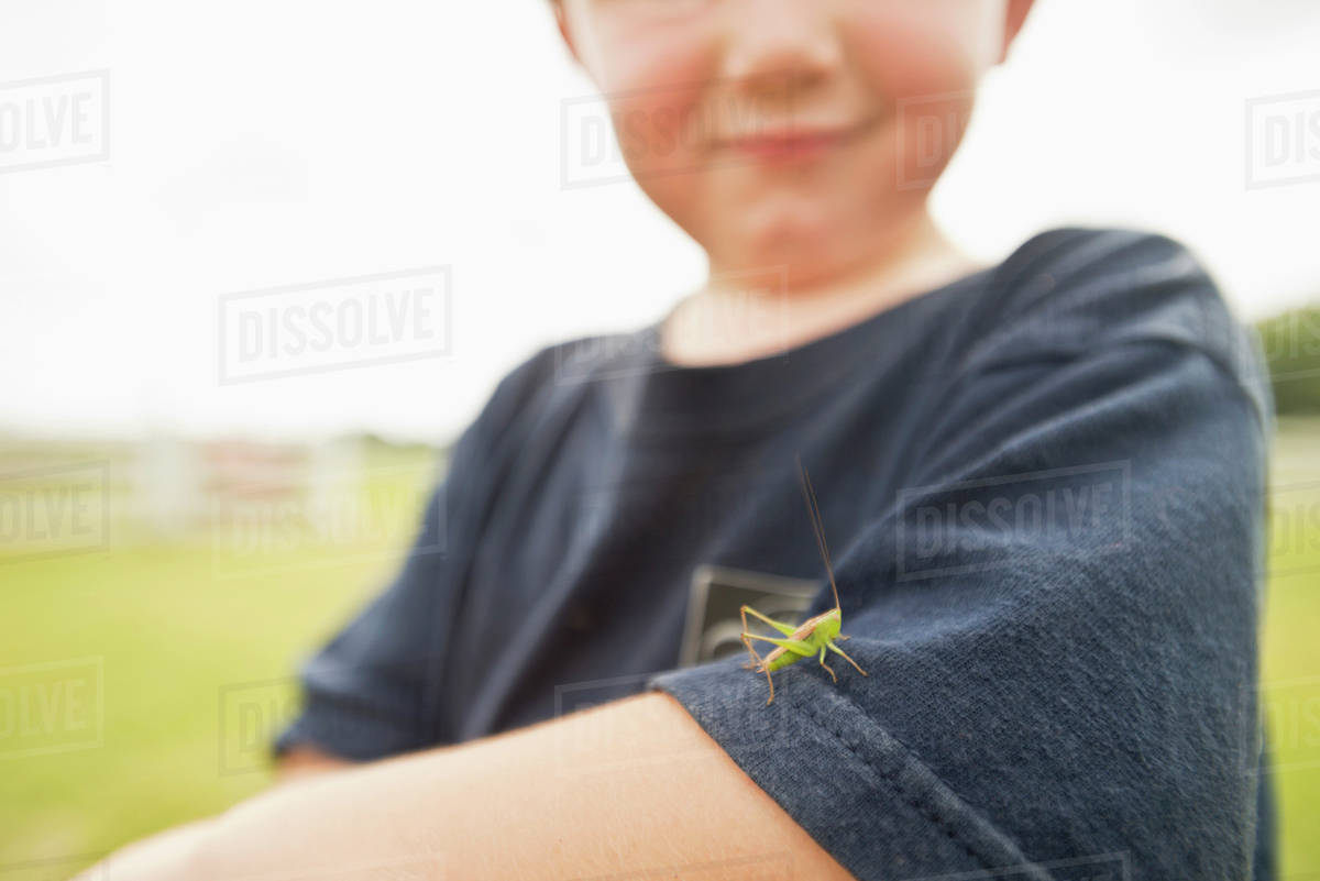 Caucasian boy playing with insect outdoors - Royalty-free Stock Photo ...