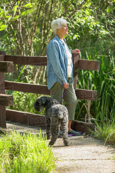 Older Caucasian woman walking dog in park - Royalty-free Stock Photo ...