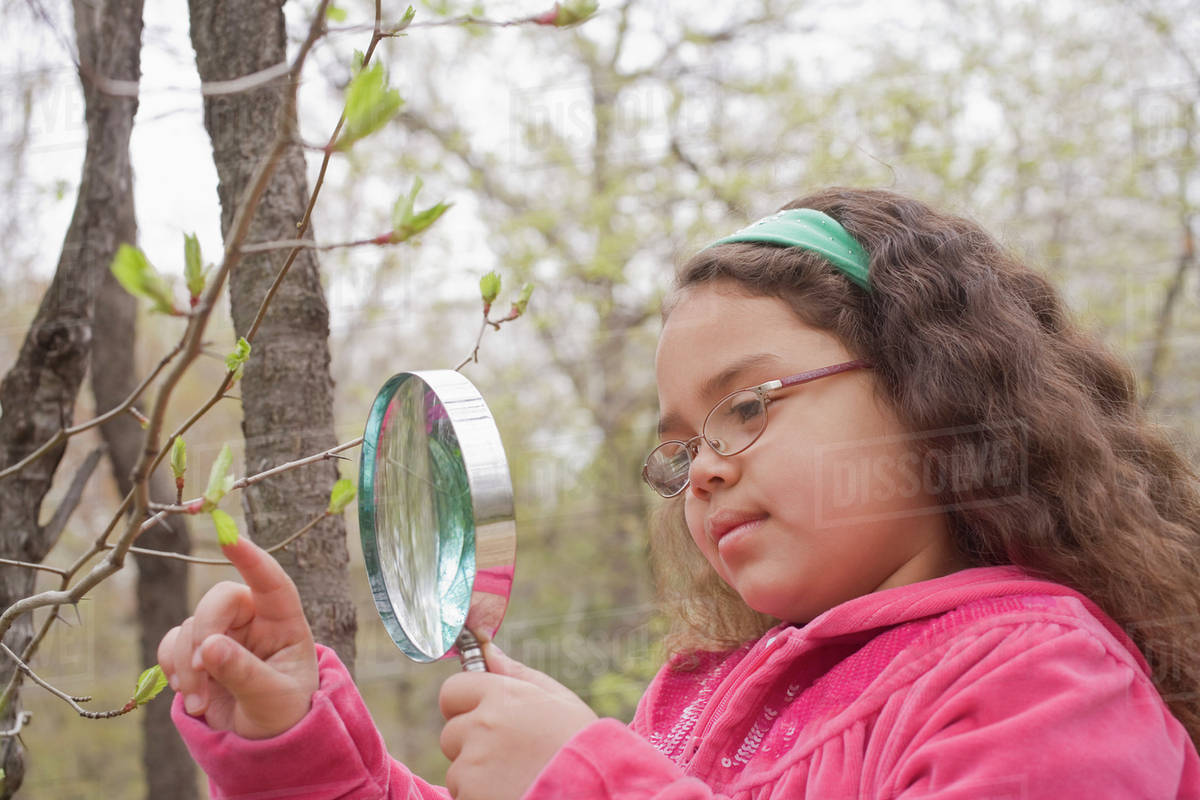 Hispanic girl looking at leaf with magnifying glass - Royalty-free ...