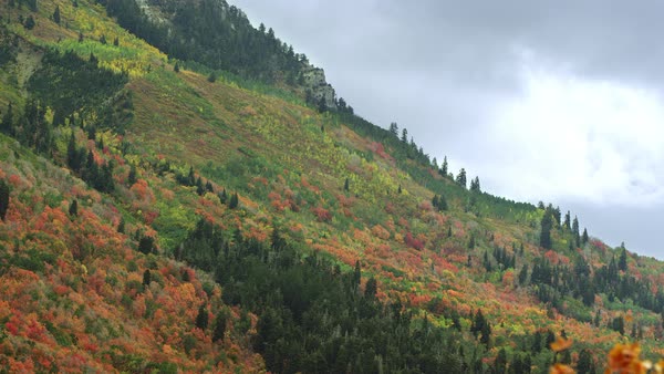 Static view of colorful mountain side during Fall as clouds move by in ...