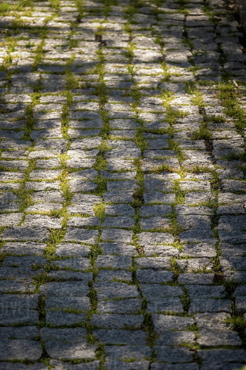 Grey Brick Path with Grass Between Bricks - Royalty-free Stock Photo ...
