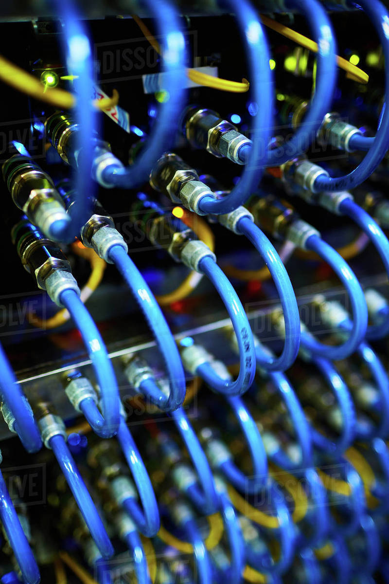 Close-up of network server cables - Royalty-free Stock Photo | Dissolve