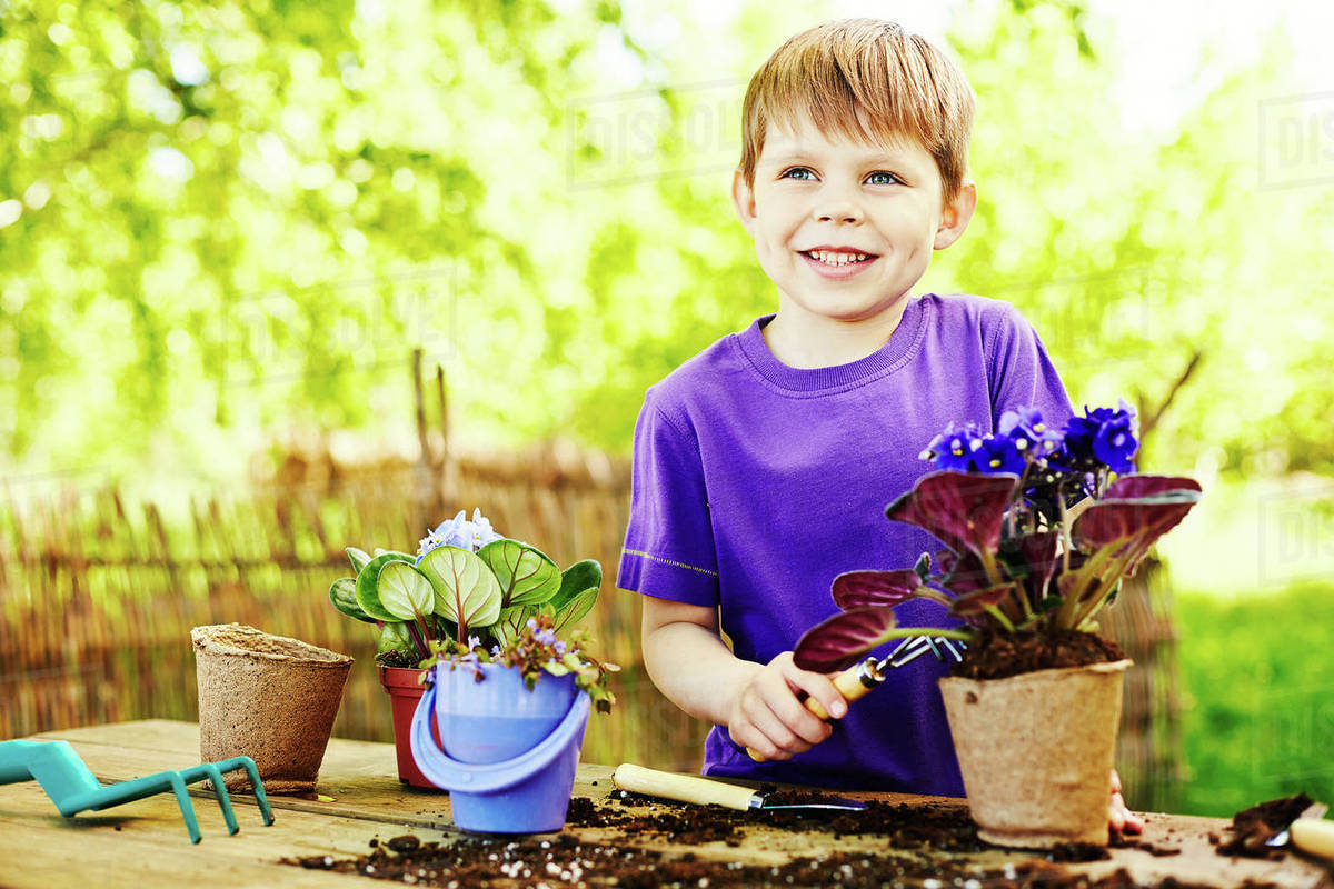 Little boy plantig a violet - Royalty-free Stock Photo | Dissolve