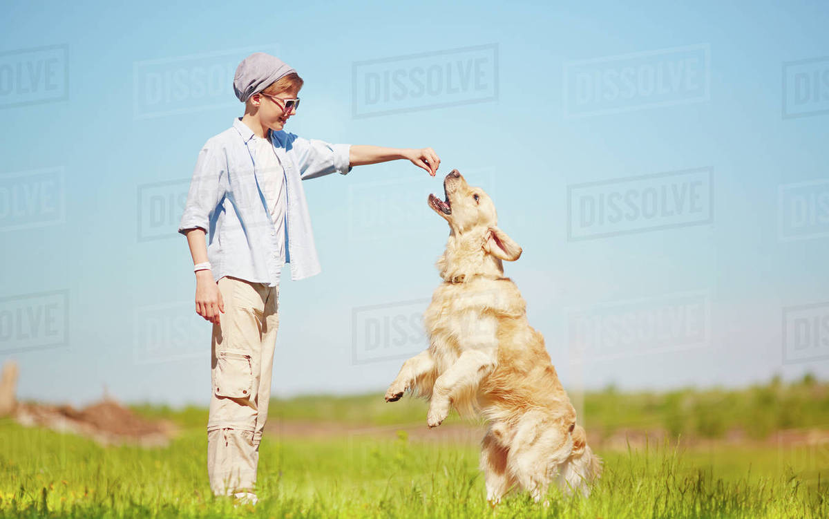 Teenage boy playing with dog - Royalty-free Stock Photo | Dissolve
