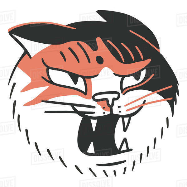 Illustration of a hissing cat face isolated on white background - Stock ...