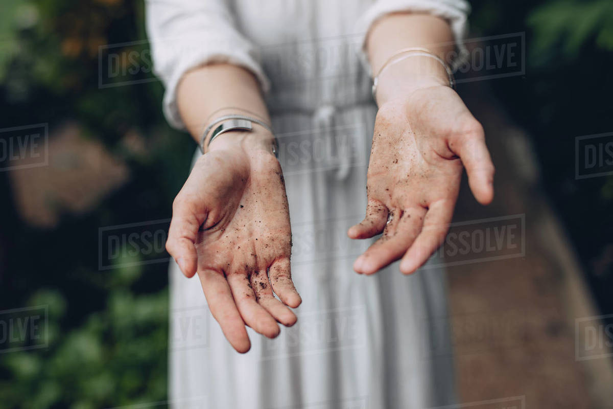 Closeup of woman working in the garden center. Female gardener showing ...