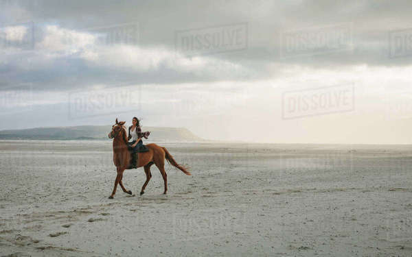 Young lady riding a horse on the beach. Woman horse riding along the ...