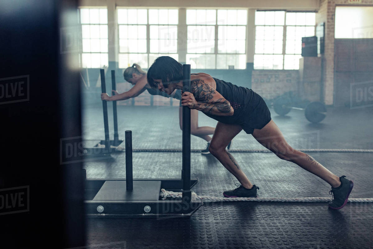 Strong young women pushing the prowler sled. Fit females using prowler ...
