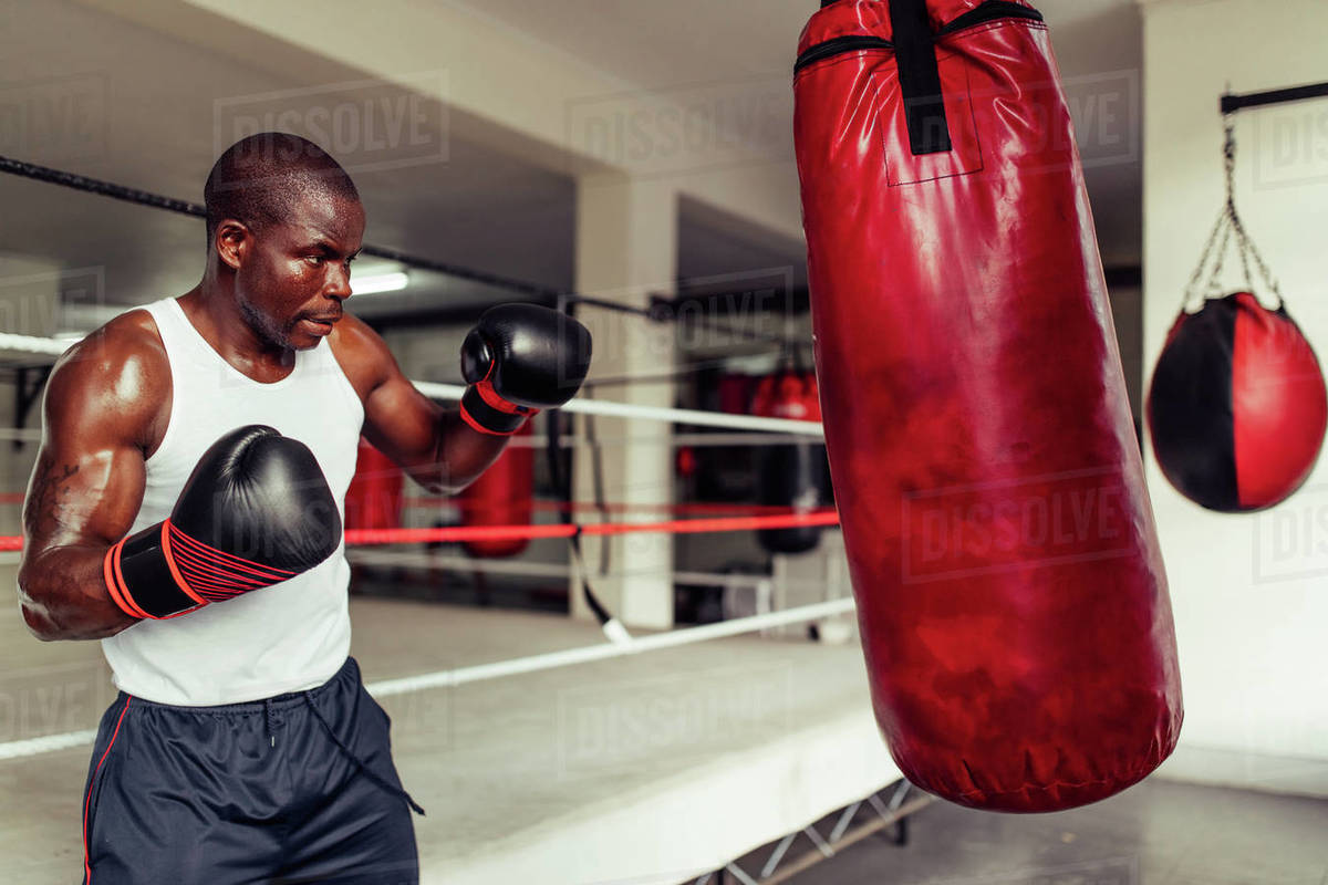 Focused muscular sweaty male African boxer in a gym working out on a ...
