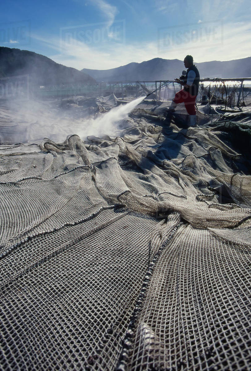 Man washing nets at Salmon Farm - Royalty-free Stock Photo | Dissolve
