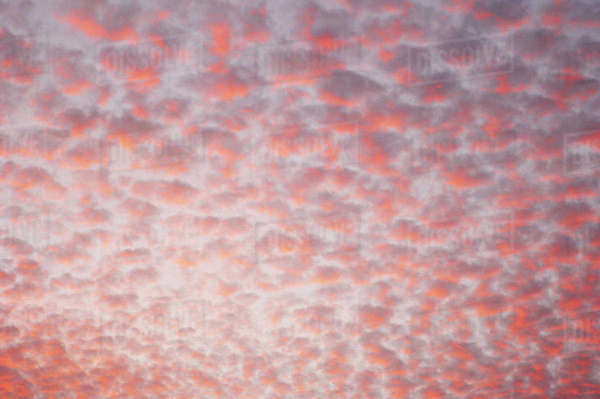 Small pink clouds in evening sky - Royalty-free Stock Photo | Dissolve