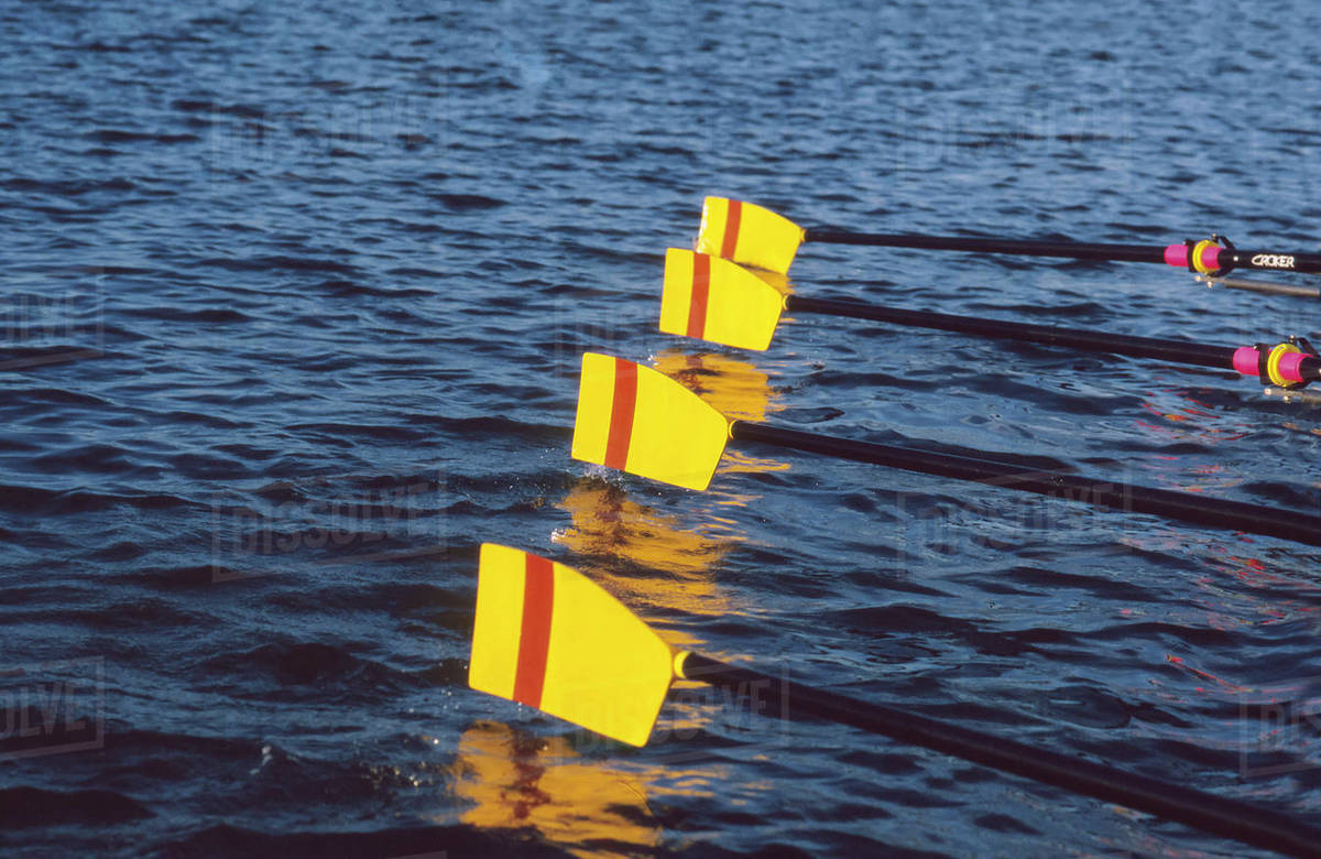 Set of four rowing oars on top of the water - Royalty-free Stock Photo ...