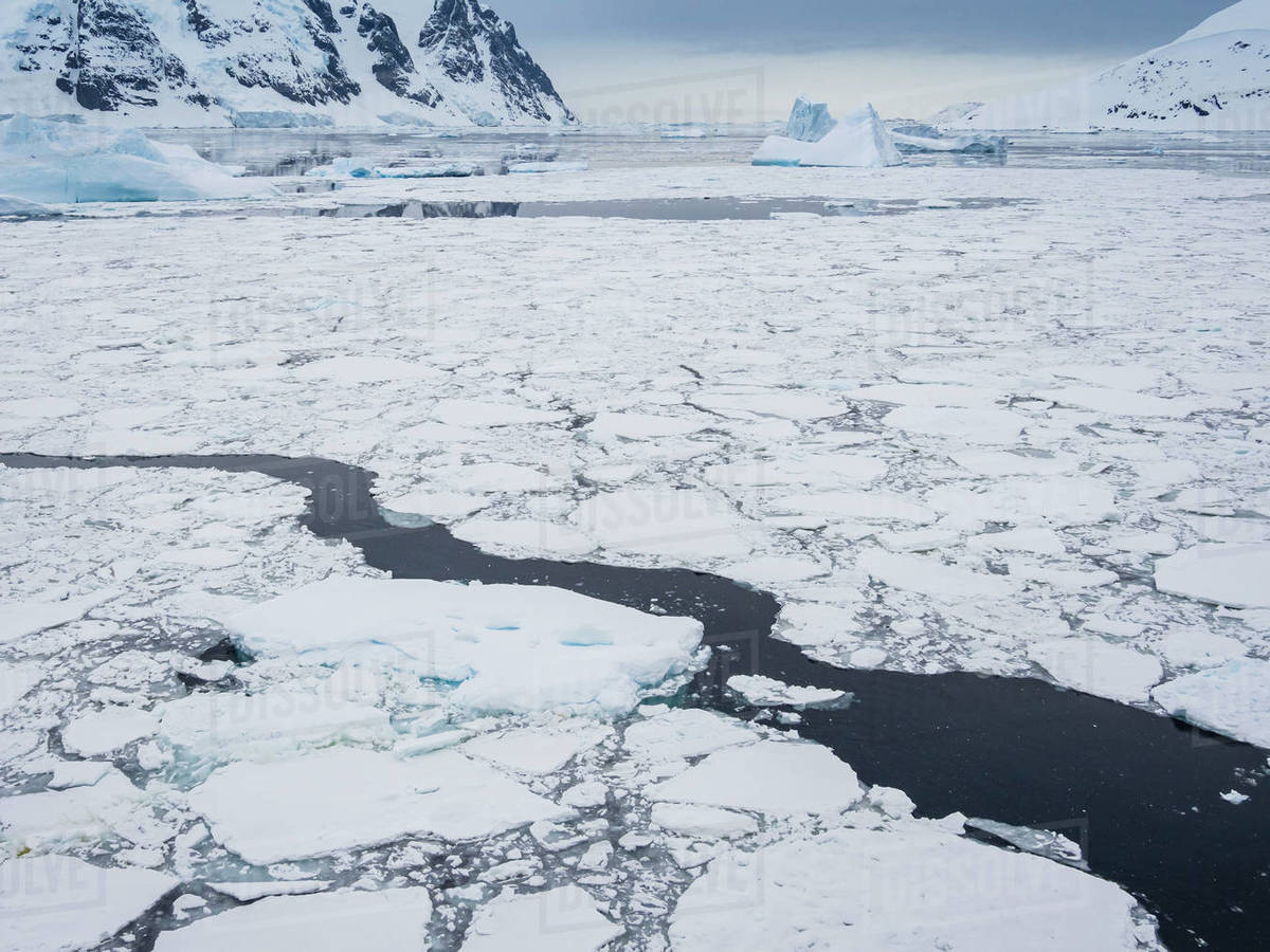 Pack ice in Lemaire Channel, Antarctica - Stock Photo - Dissolve