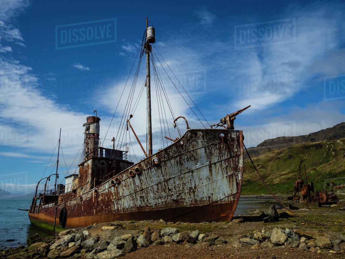 Harpoon gun on whale catcher at the historic whaling station at ...