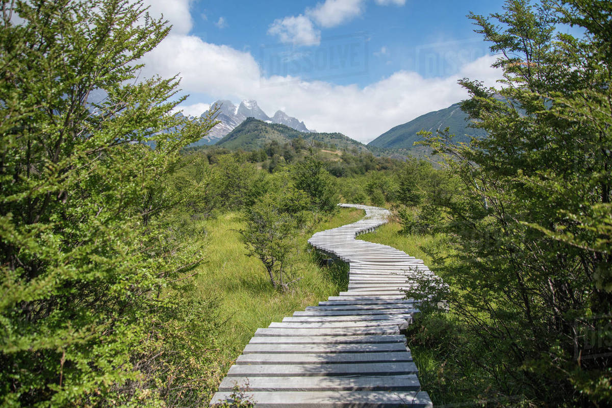 Wooden footpath with Torres del Paine National Park in background ...
