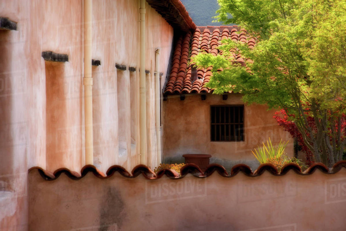 Tree in front of a church, Mission San Carlos Borromeo de Carmelo ...