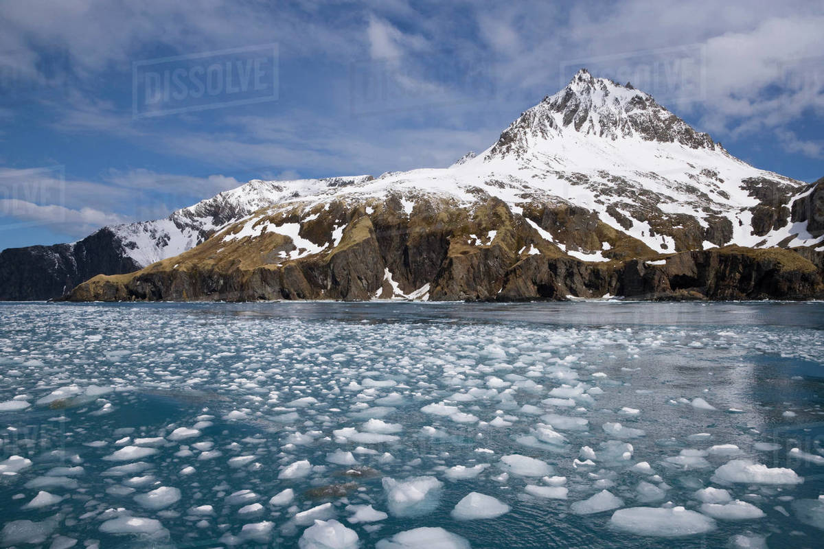 Ice floats in the sea, Iris Bay, South Georgia Island, South Sandwich ...