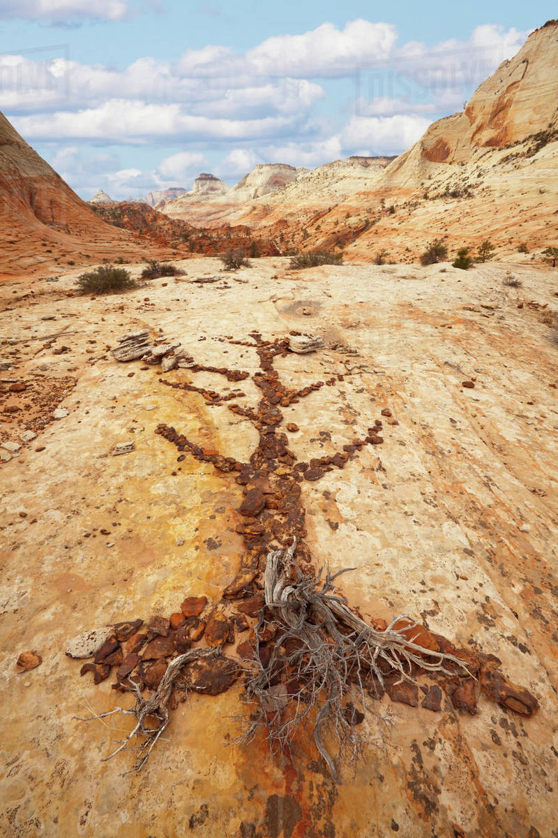 Stones arranged in the shape of a tree, Zion-Mount Carmel Highway, Zion ...