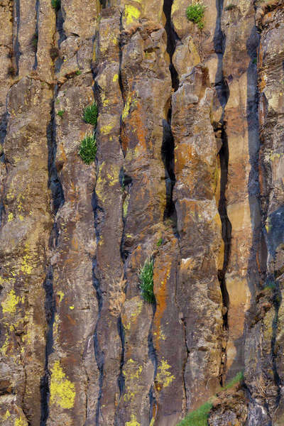 USA, Oregon, Columnar basalt - Royalty-free Stock Photo | Dissolve